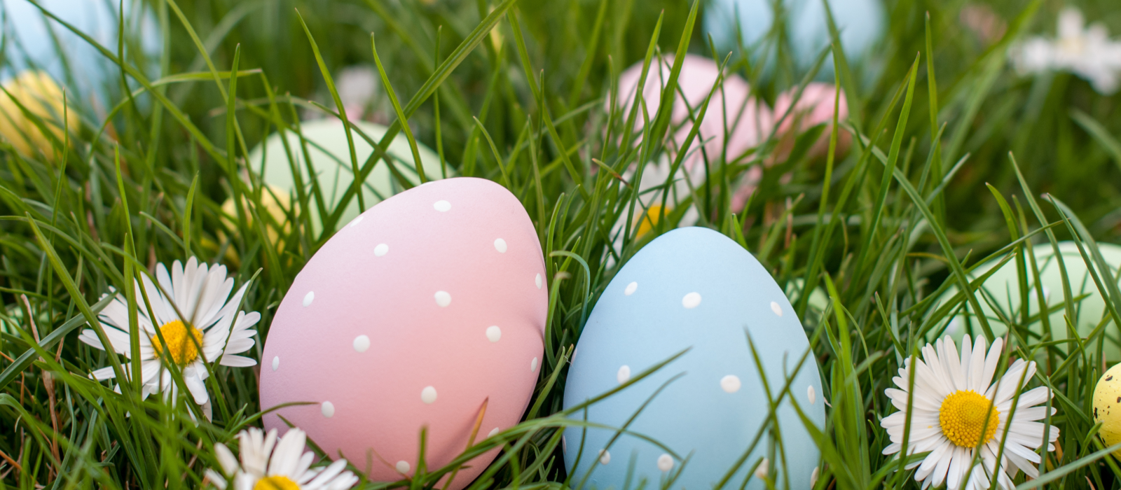 Family Friendly Easter Activities in Dublin - Aircoach